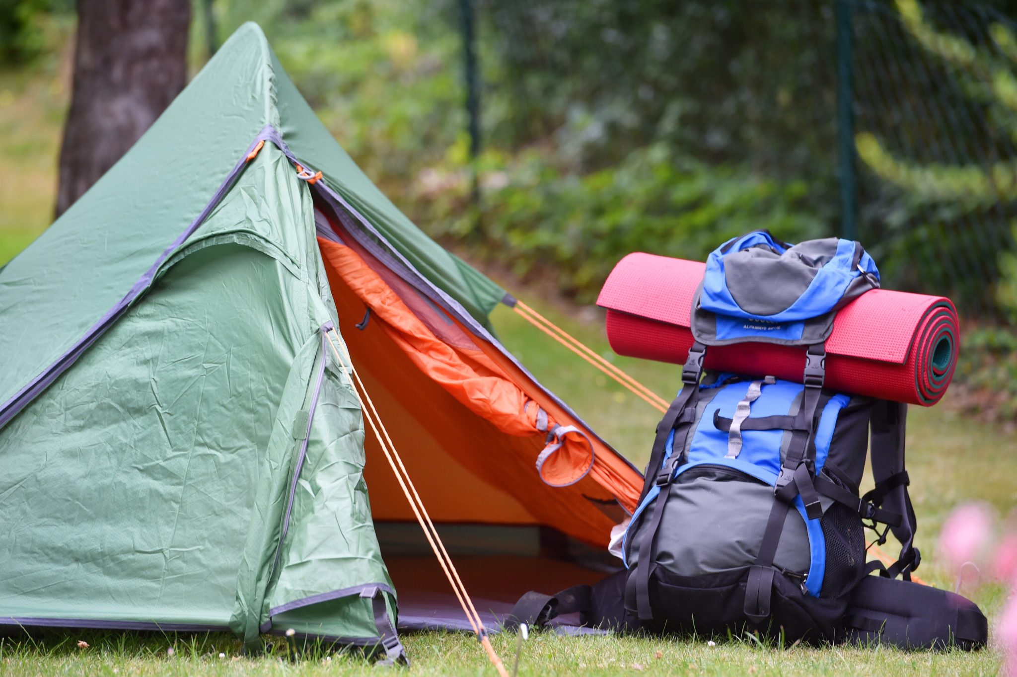 Scouting Ireland insists robust safeguards are in place for weekend ... Scouting Ireland insists robust safeguards are in place for weekend ...