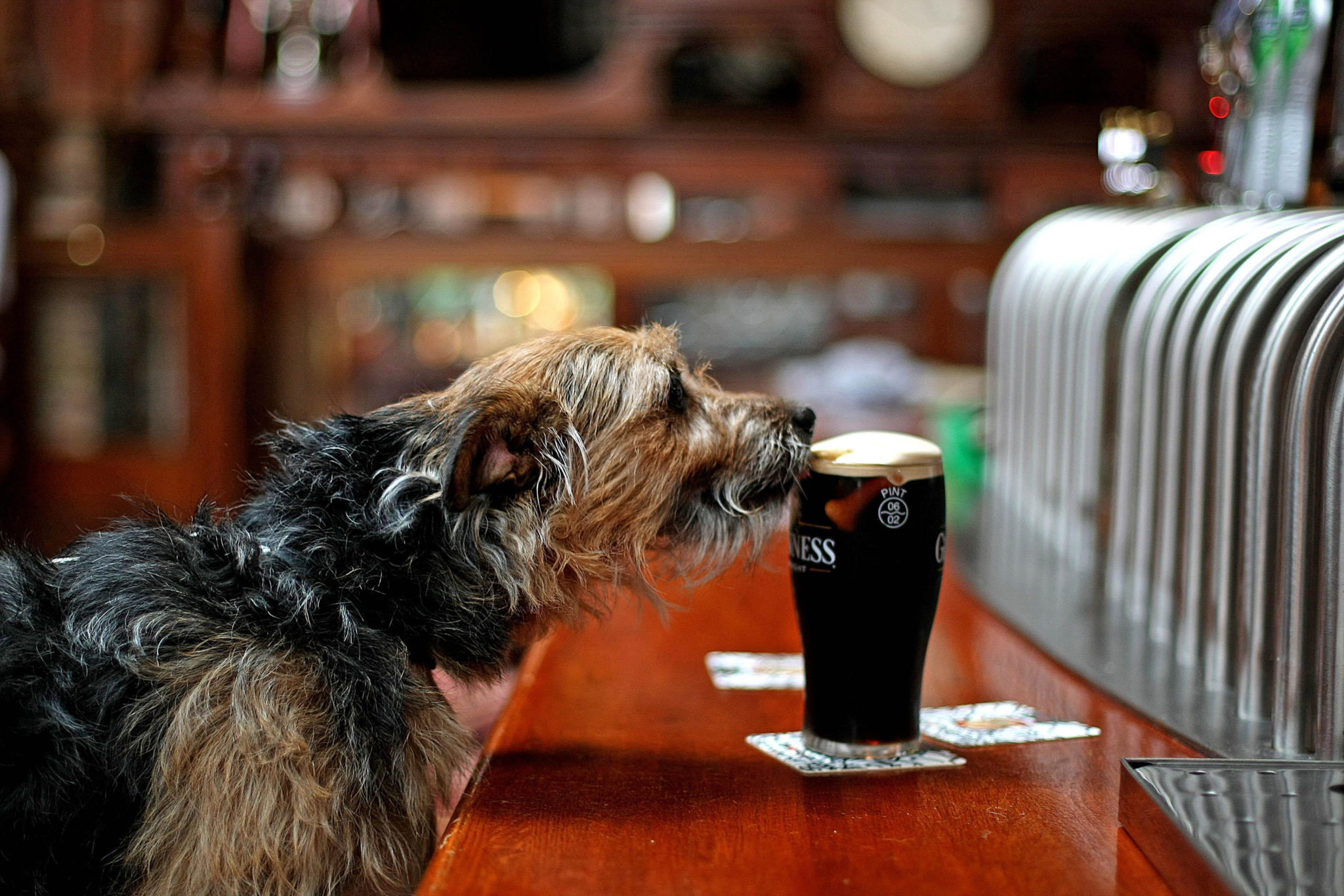 Dublin Is The Fifth Most Expensive City In The World For Pints