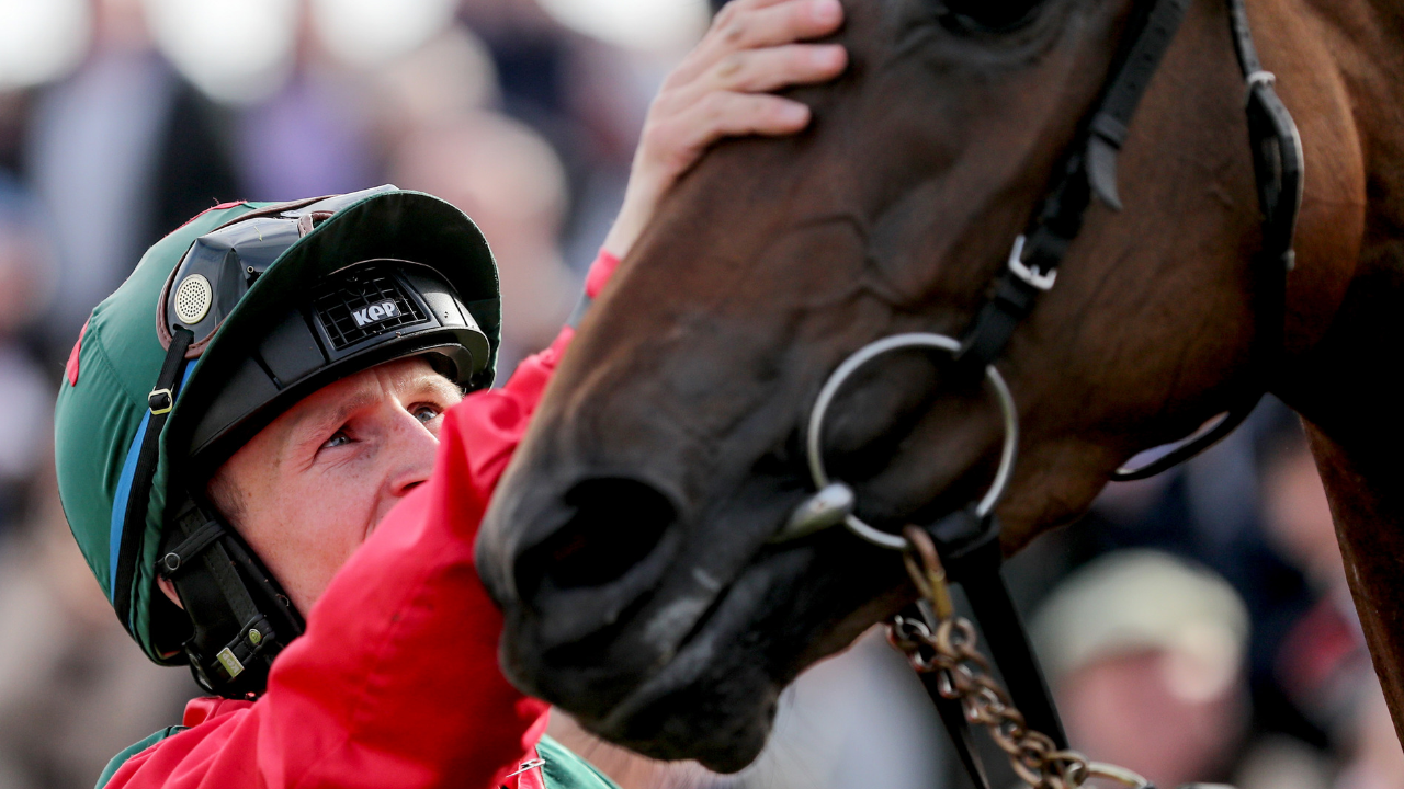 From Blanchardstown to Leopardstown - Remarkable rise of Gary Halpin ...