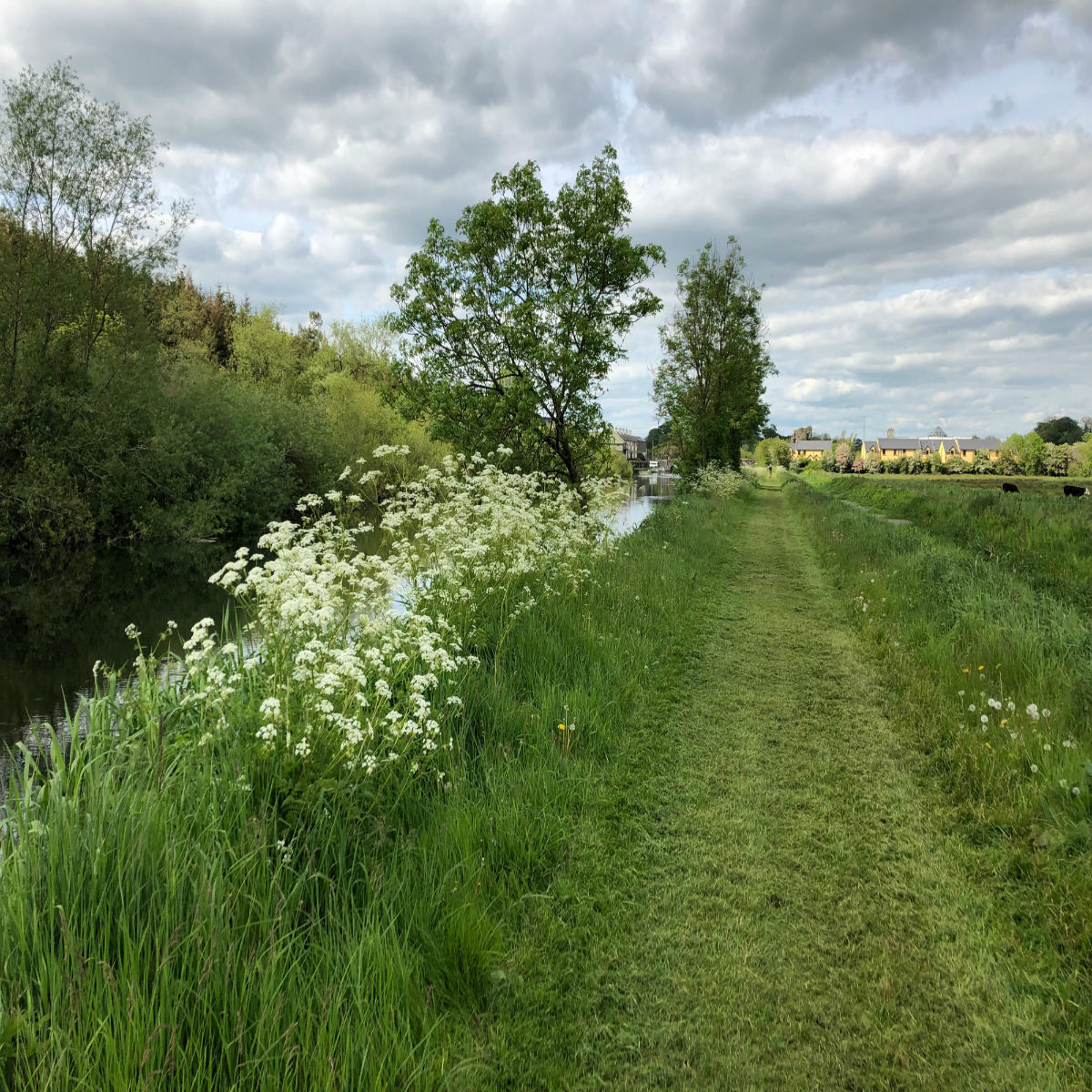 What next for the Barrow Blueway? | Newstalk