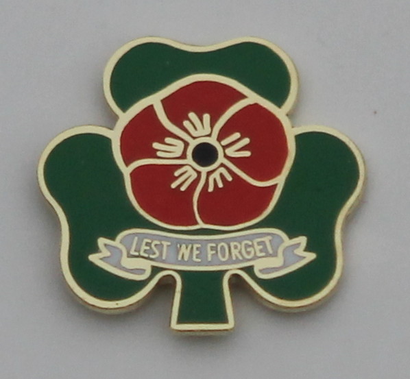 Would you wear the Irish Poppy? | Newstalk