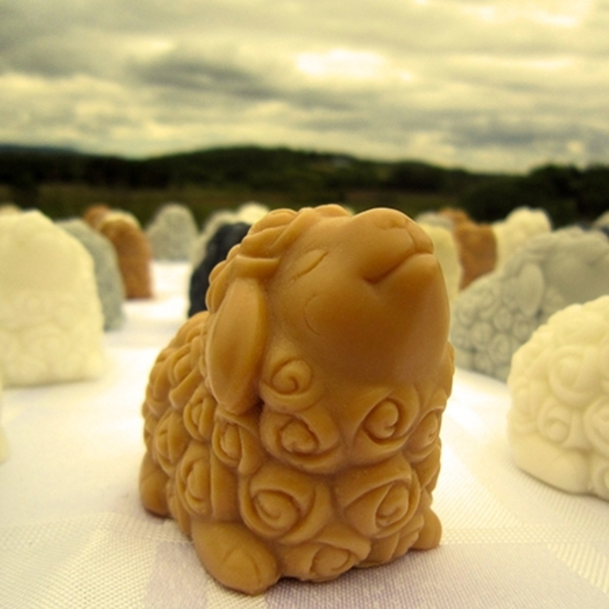 Donkey Milk Soap - How do you milk a donkey? | Newstalk