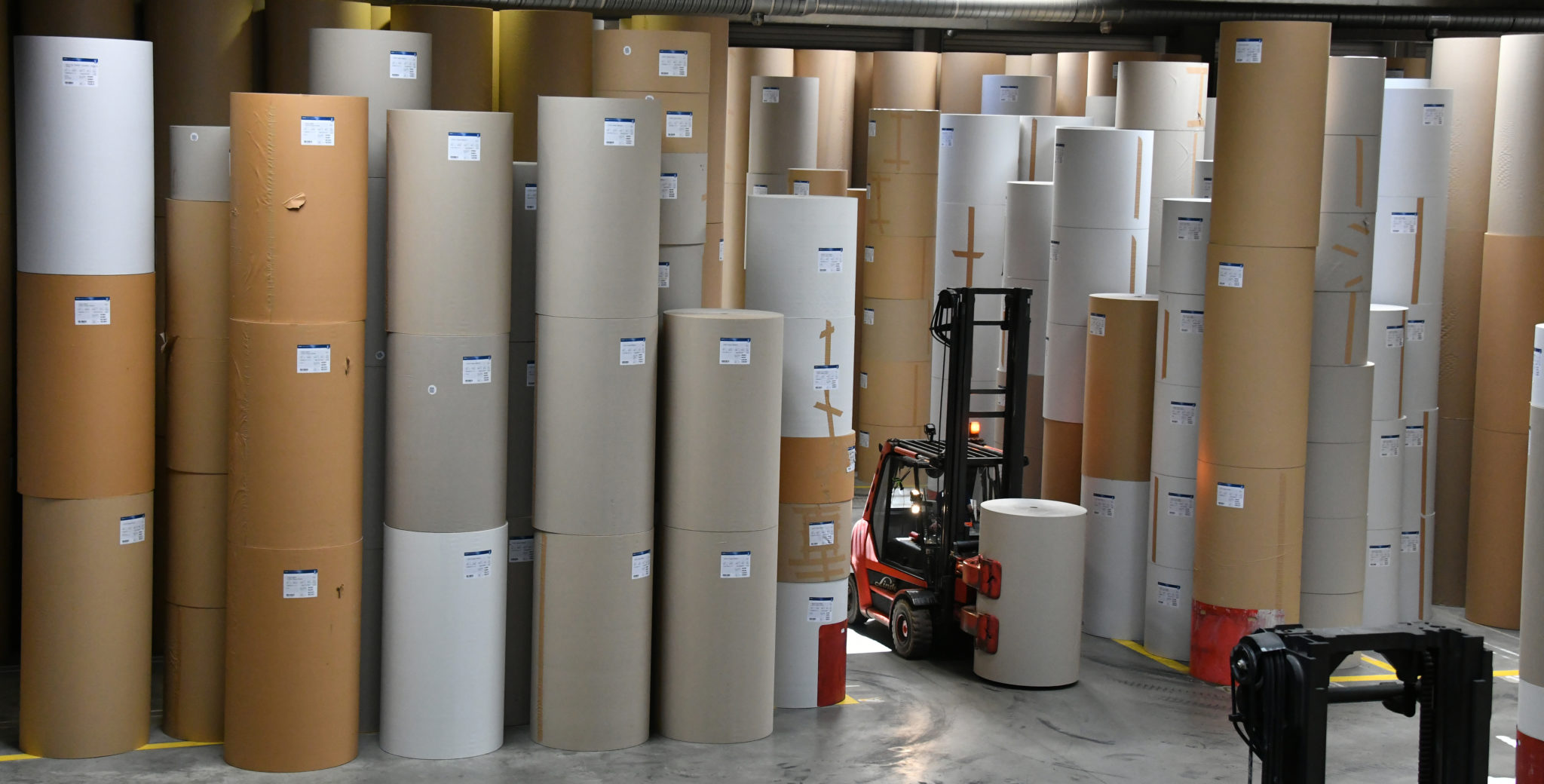 New group to promote sustainability in paper packaging | Newstalk