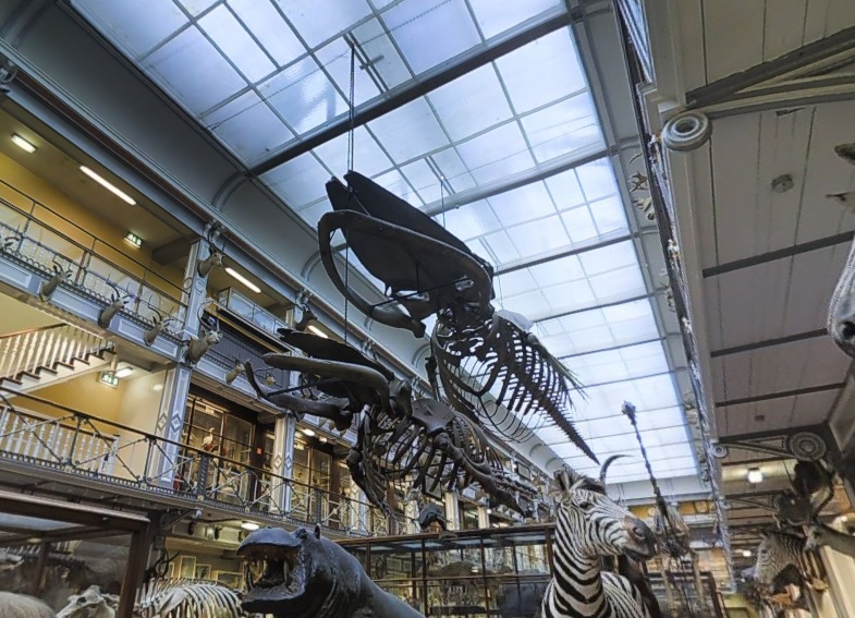 Dublin's 'Dead Zoo' Back Open Following Refurb | www.98fm.com