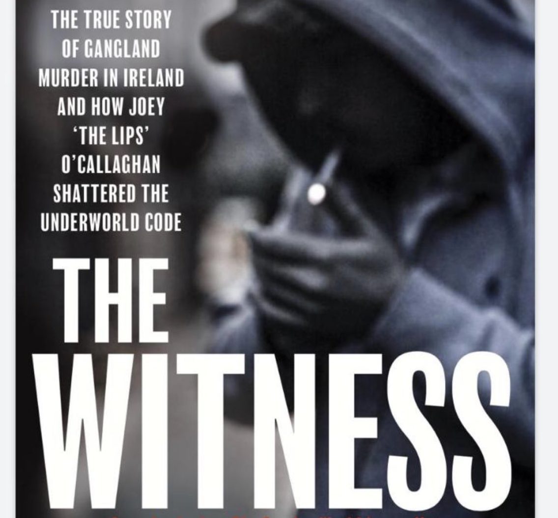 The Story Of Ireland's Youngest Member Of Witness Protection