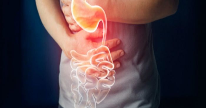'Kay’s Anatomy: A Complete (and Completely Disgusting) Guide to the ...