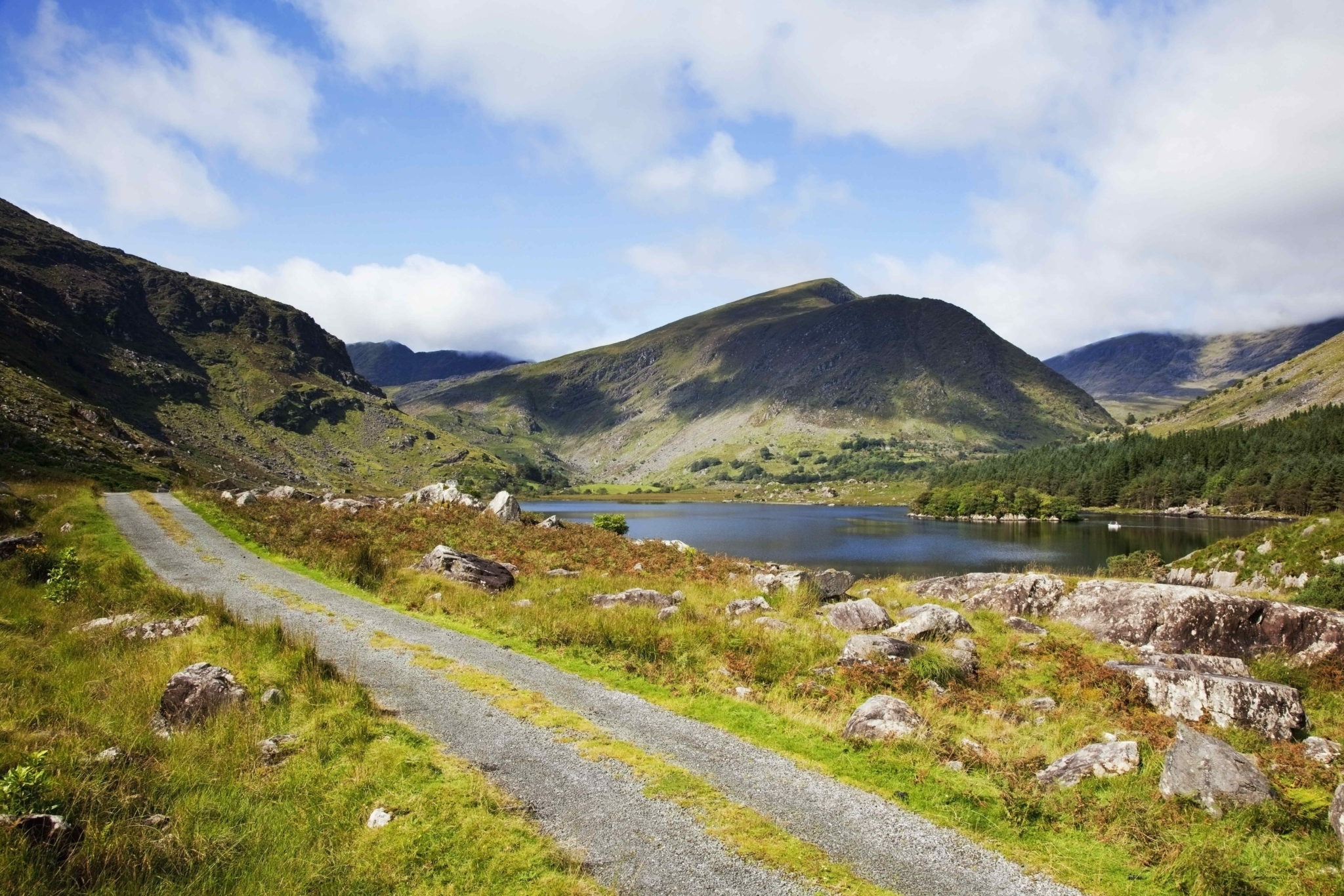 Remote Kerry valley could welcome Elon Musk's Starlink internet 'within ...