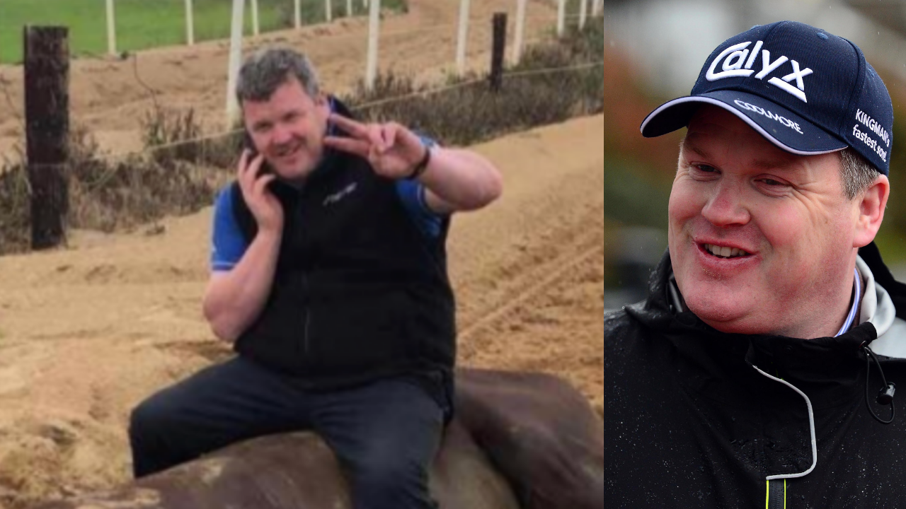 'Absolutely disgusting' | Reaction to Gordon Elliott controversy ...