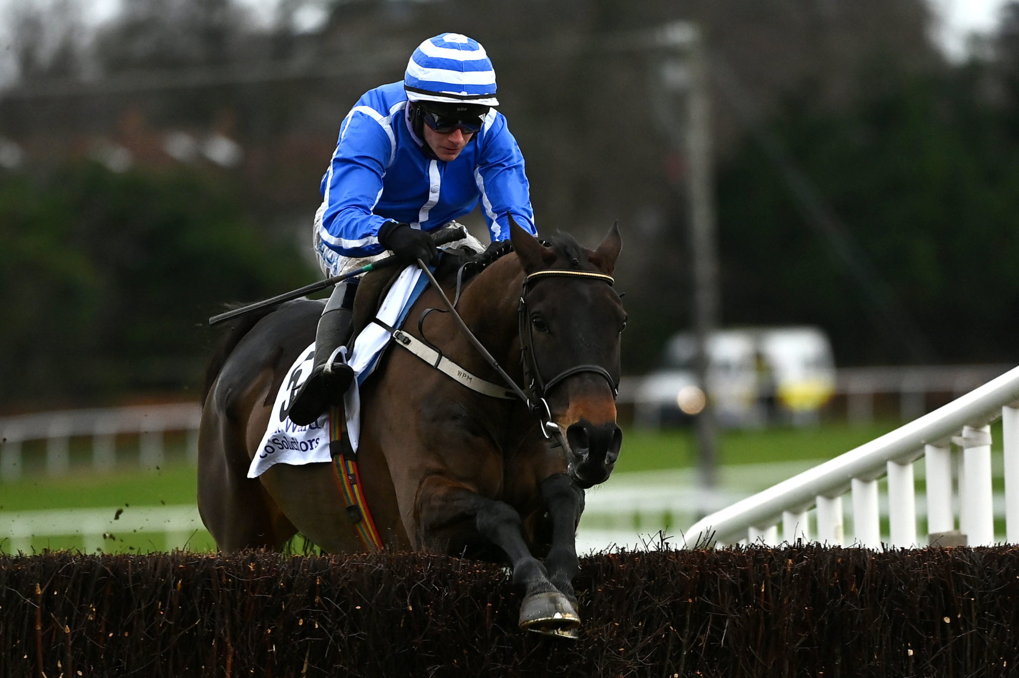 Cheltenham | Energumene setback rules him out of Arkle