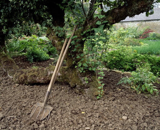 Patrick Horkan Gives His Advice On Potato Planting | Newstalk
