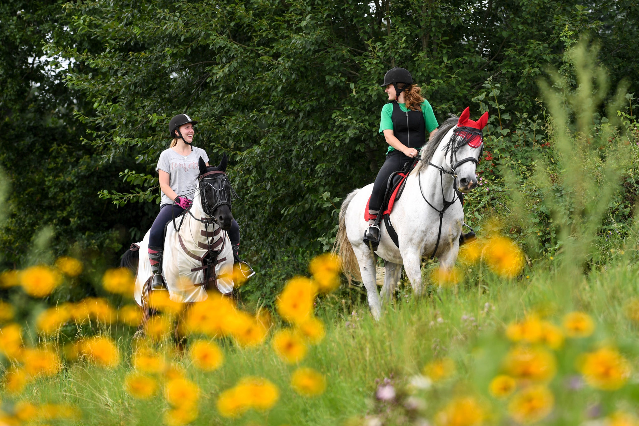 Call for more access to off-road paths for horse riders | Newstalk