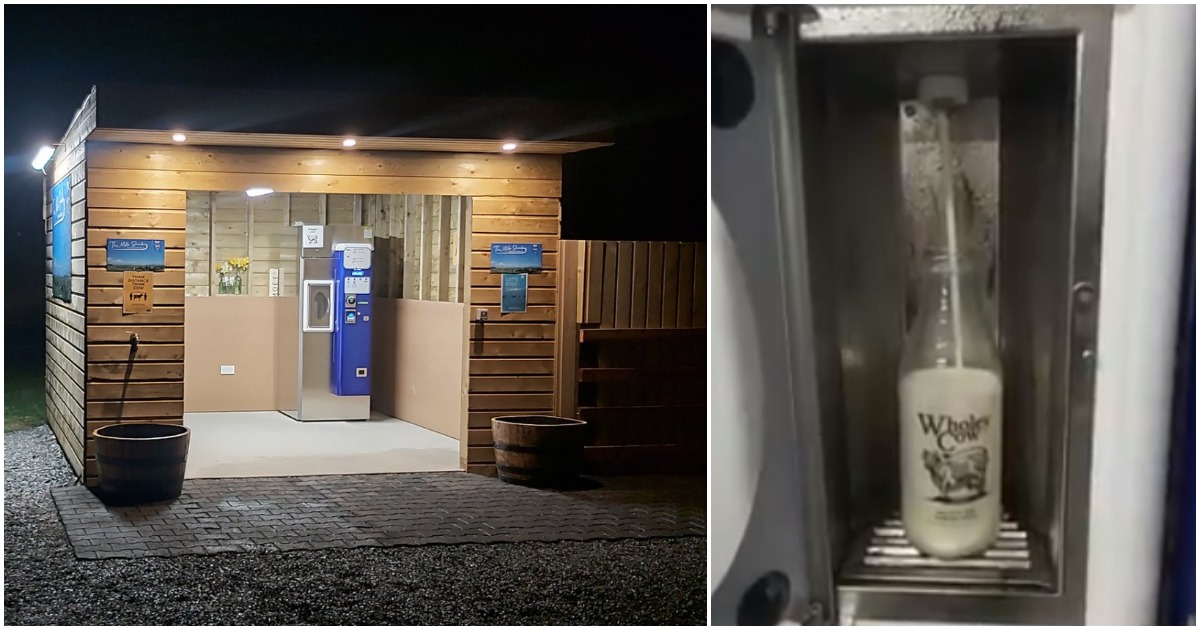 Louth Dairy Farmers Build A Contact-Free Milk Vending Machine