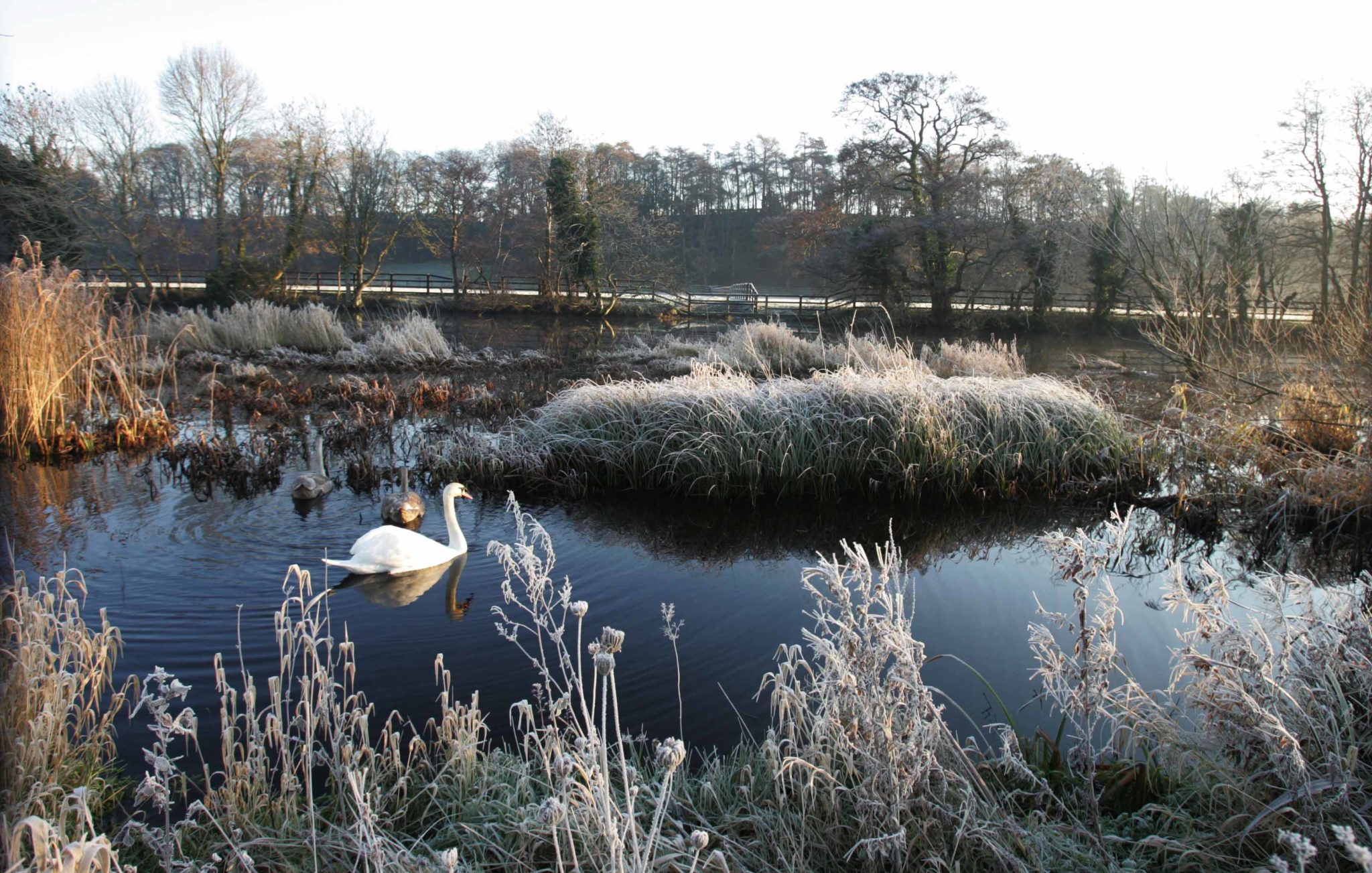 Ireland weather: Cold snap on the way with temperatures of -4 degrees ...