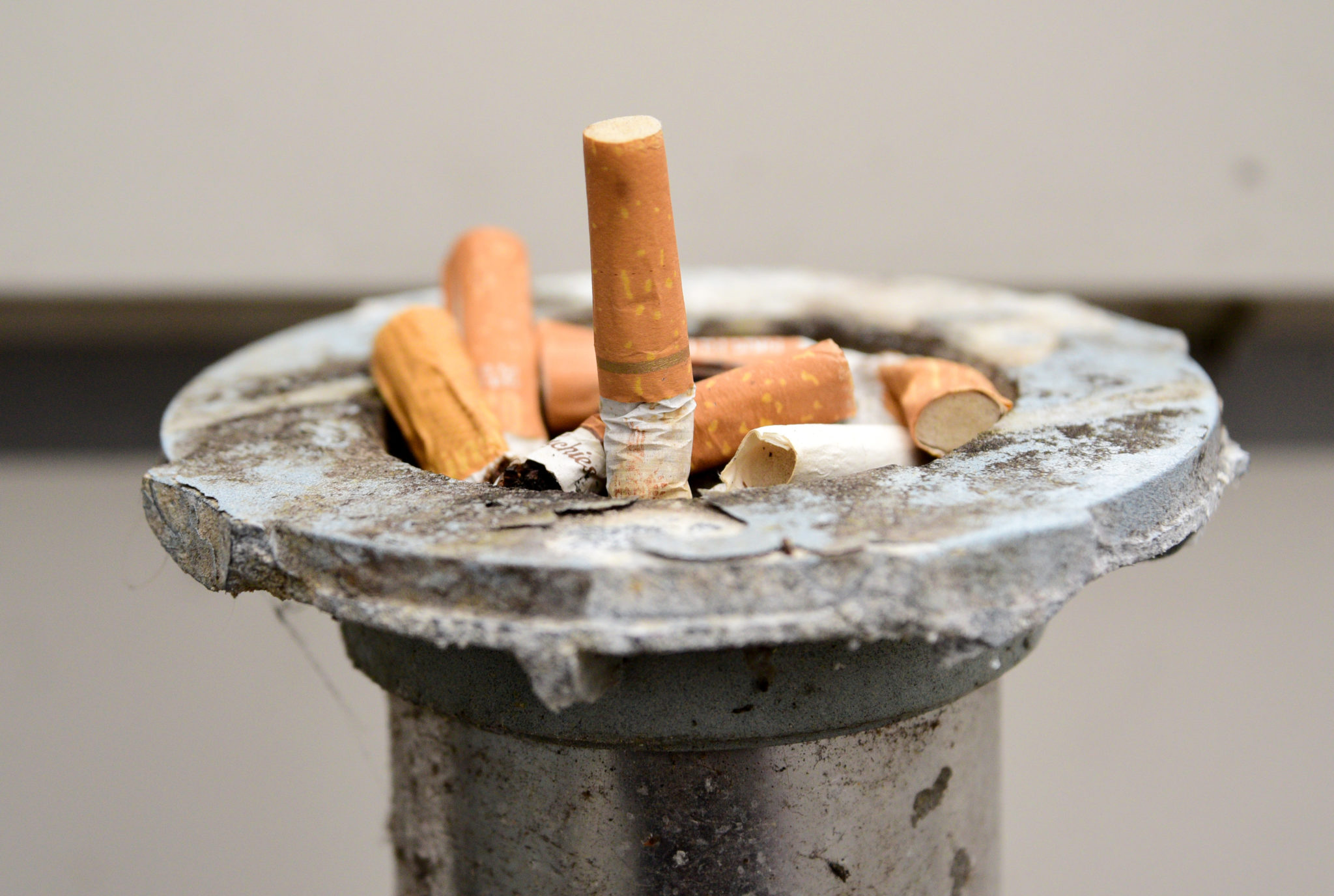 New Zealand looks to ban sale of cigarettes to people born after 2004 ...