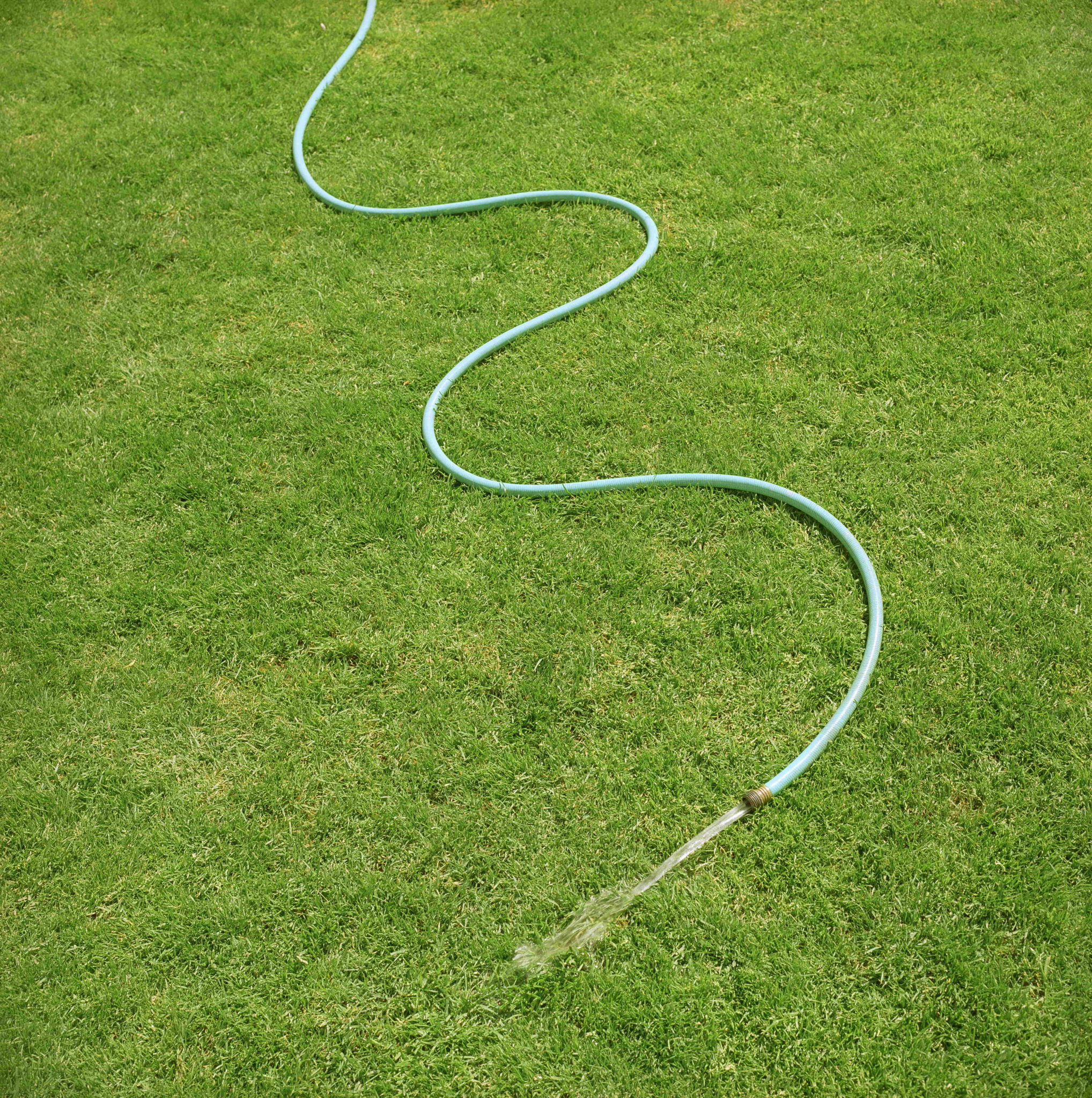 Gardening Tips With Paraic Horkan | Newstalk