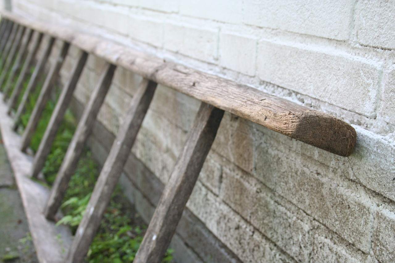 Stuff that Changed the World: the ladder | Newstalk