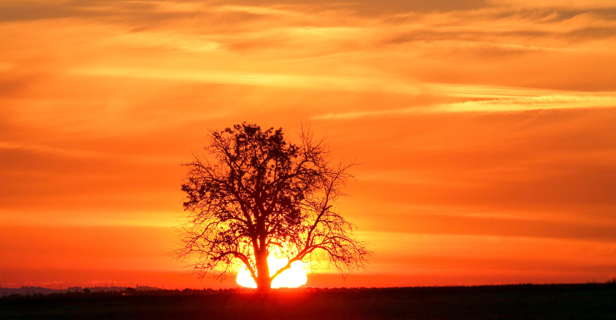 Green Scene: How Climate Change Is To Blame For 37% Of World’s Heat ...