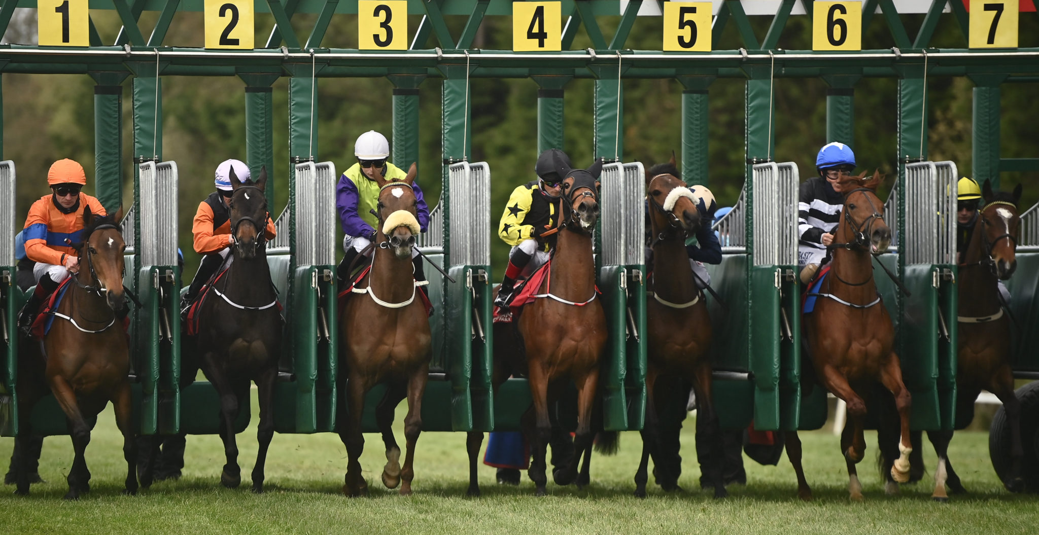 Horse Racing Ireland confirm return of owners from Monday | OffTheBall