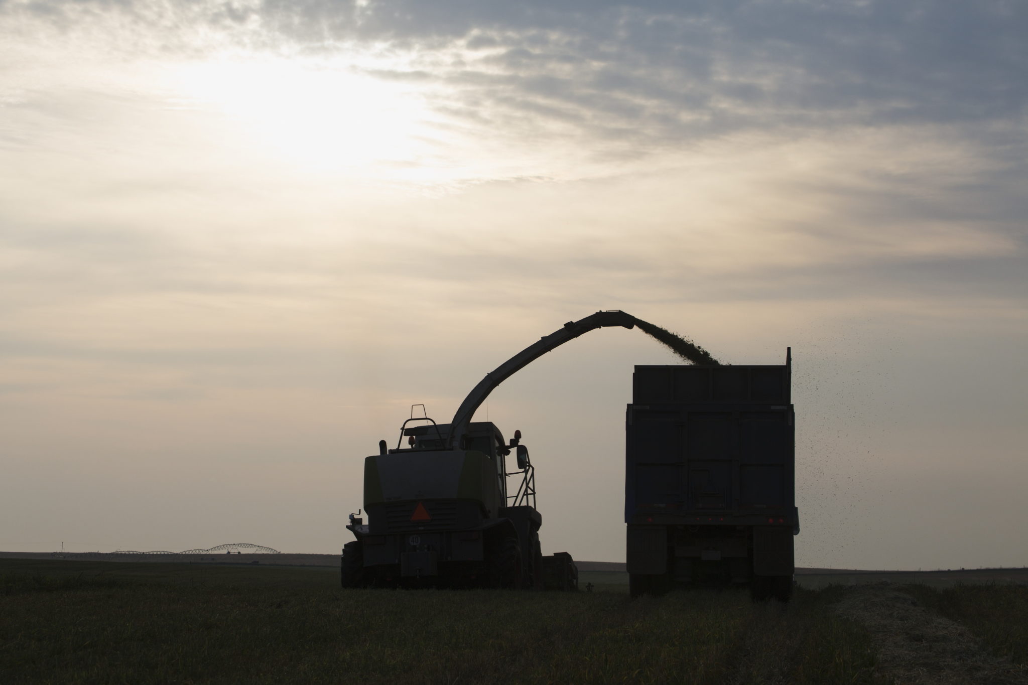 What If Your Home Is Afflicted By The Smell Of Silage ? | Newstalk