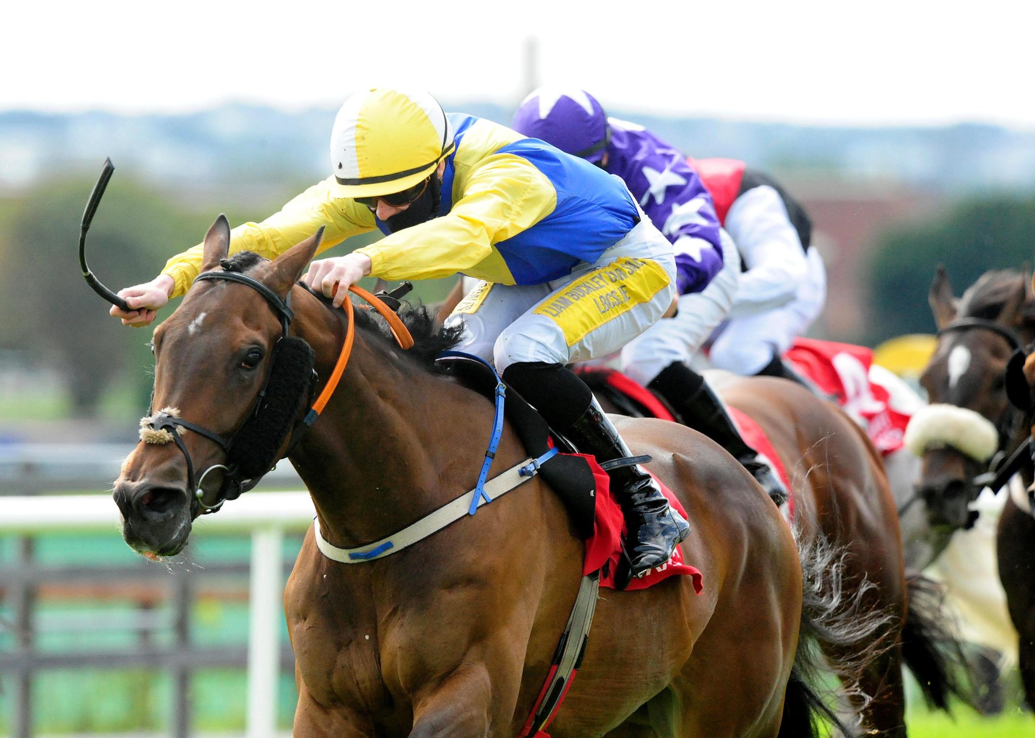 'We had people in tears on the phone' - Galway Races to run with 2% ...