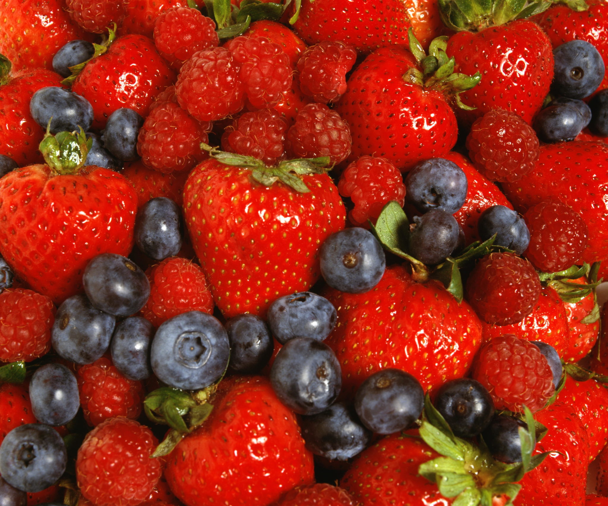 Summer Gardening With Paraic Horkan | Newstalk