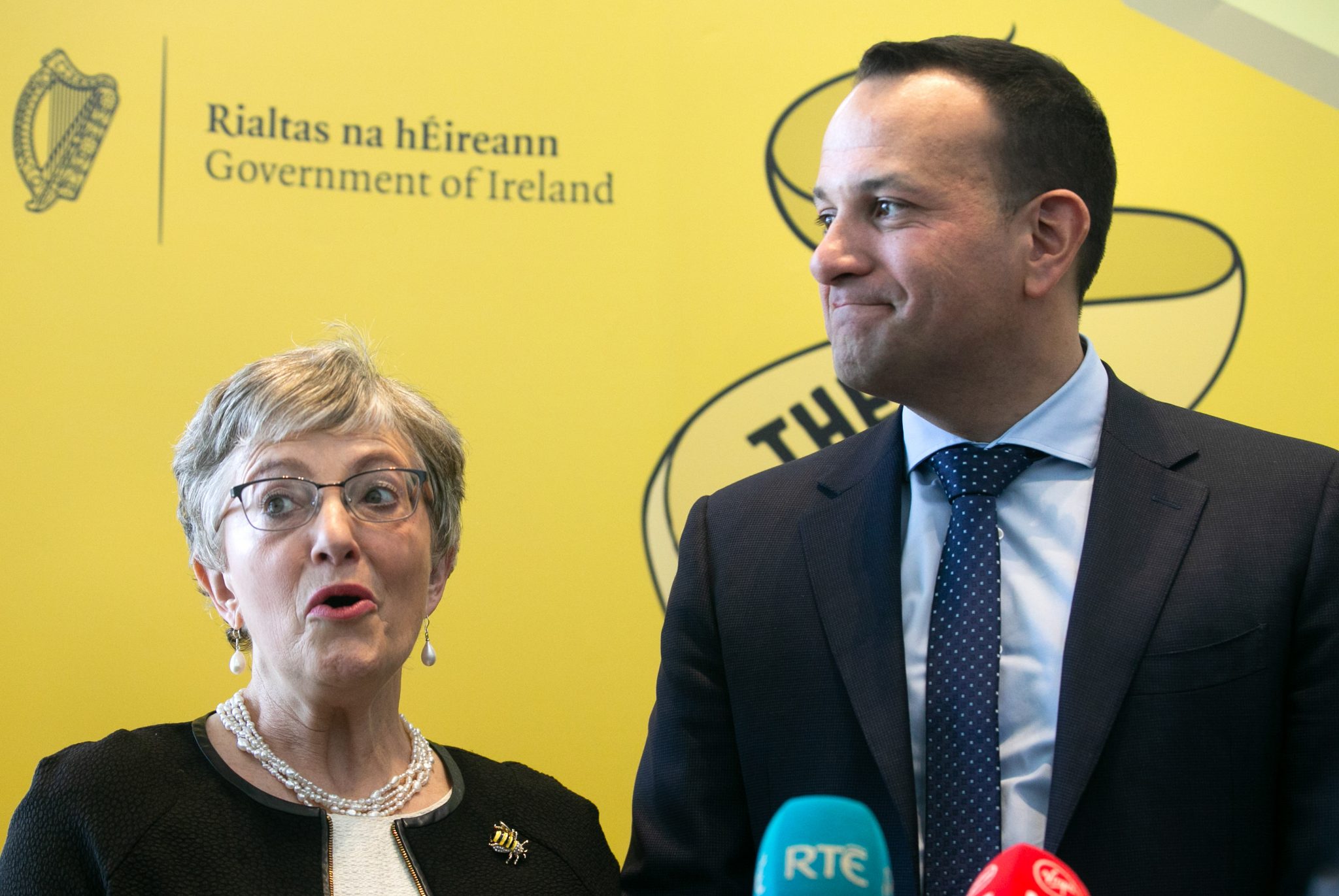 Zappone turns down special envoy role amid growing controversy over ...