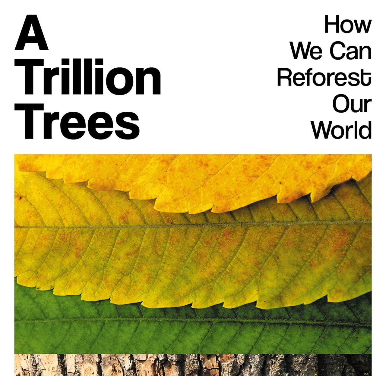 Why We Should Stop Planting Trees... | Newstalk