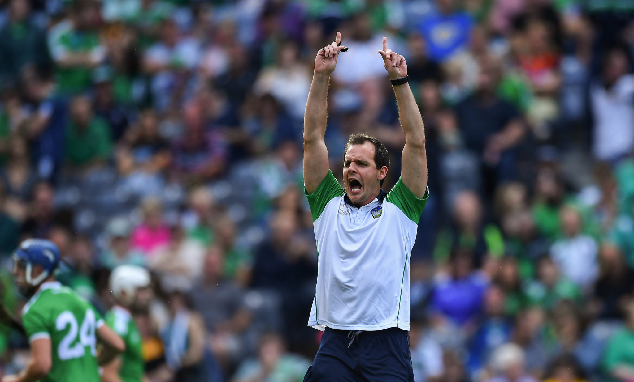 "He's a genius" | Nickie Quaid hails Paul Kinnerk's impact on Limerick ...