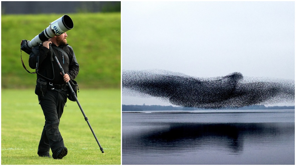 Top Irish Photographer Started His Career In The Most Peculiar Way