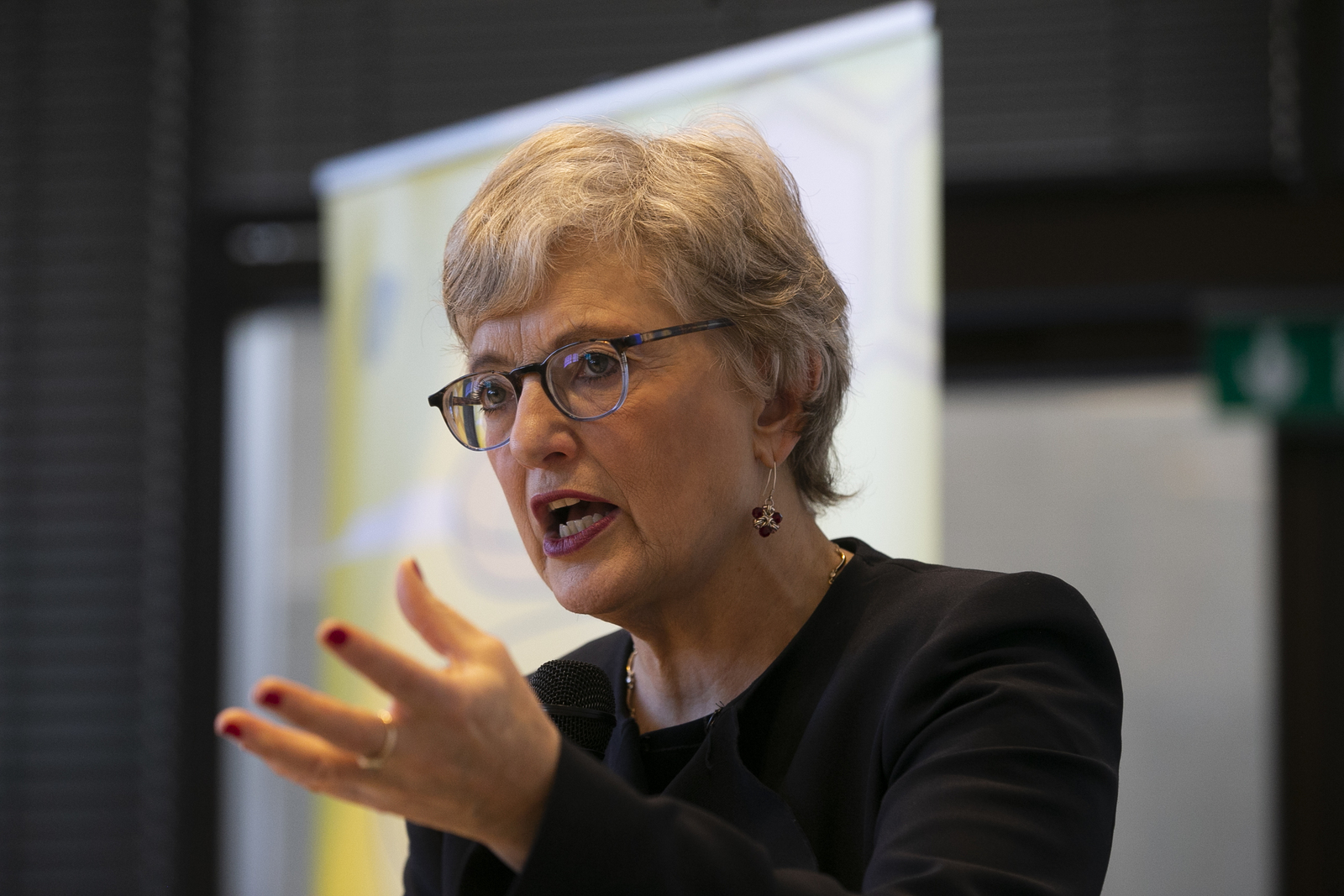 Zappone was told of UN role months before Cabinet approval, texts ...