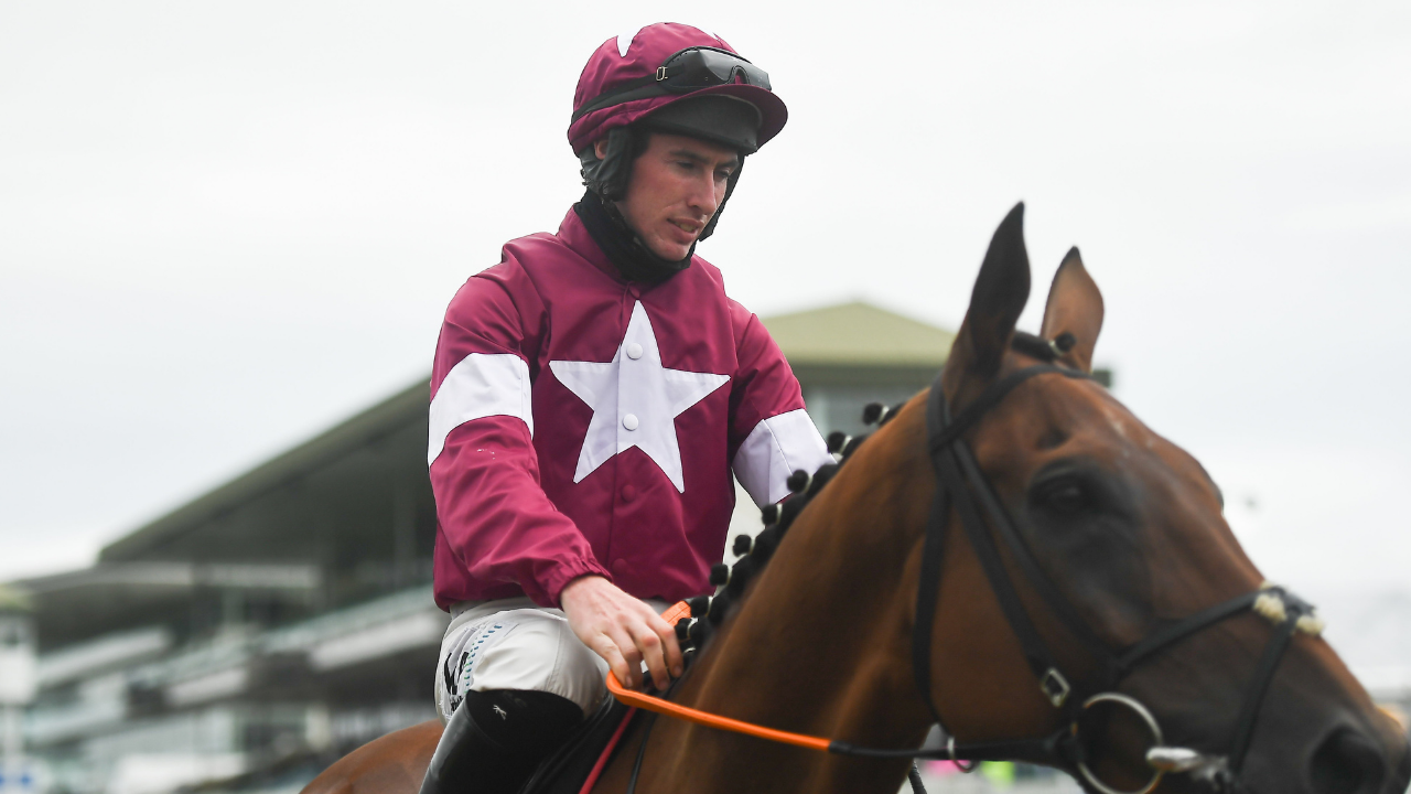 Jack Kennedy to partner Conflated as he chases Kerry National glory ...