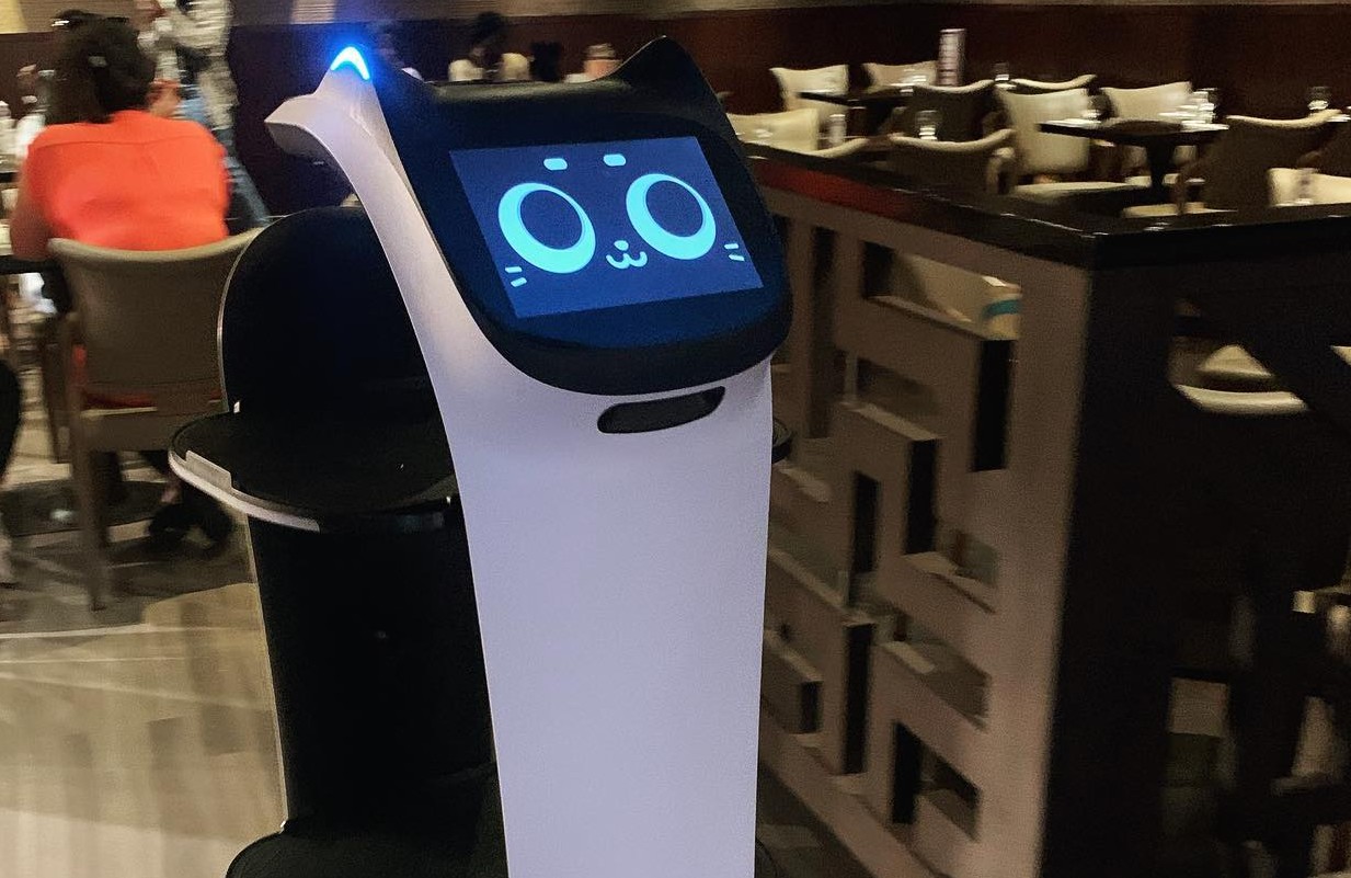 Meet Bellabot - a Limerick restaurant's first robot employee | Newstalk