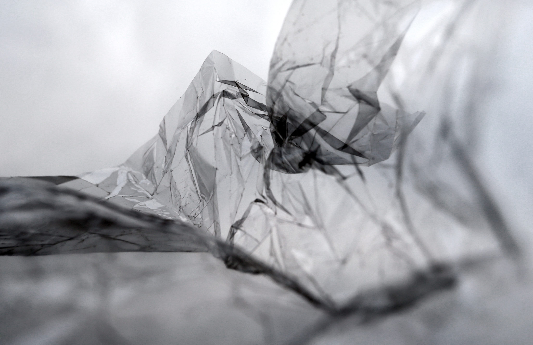 How toxic chemicals in food packaging may damage your child’s health ...