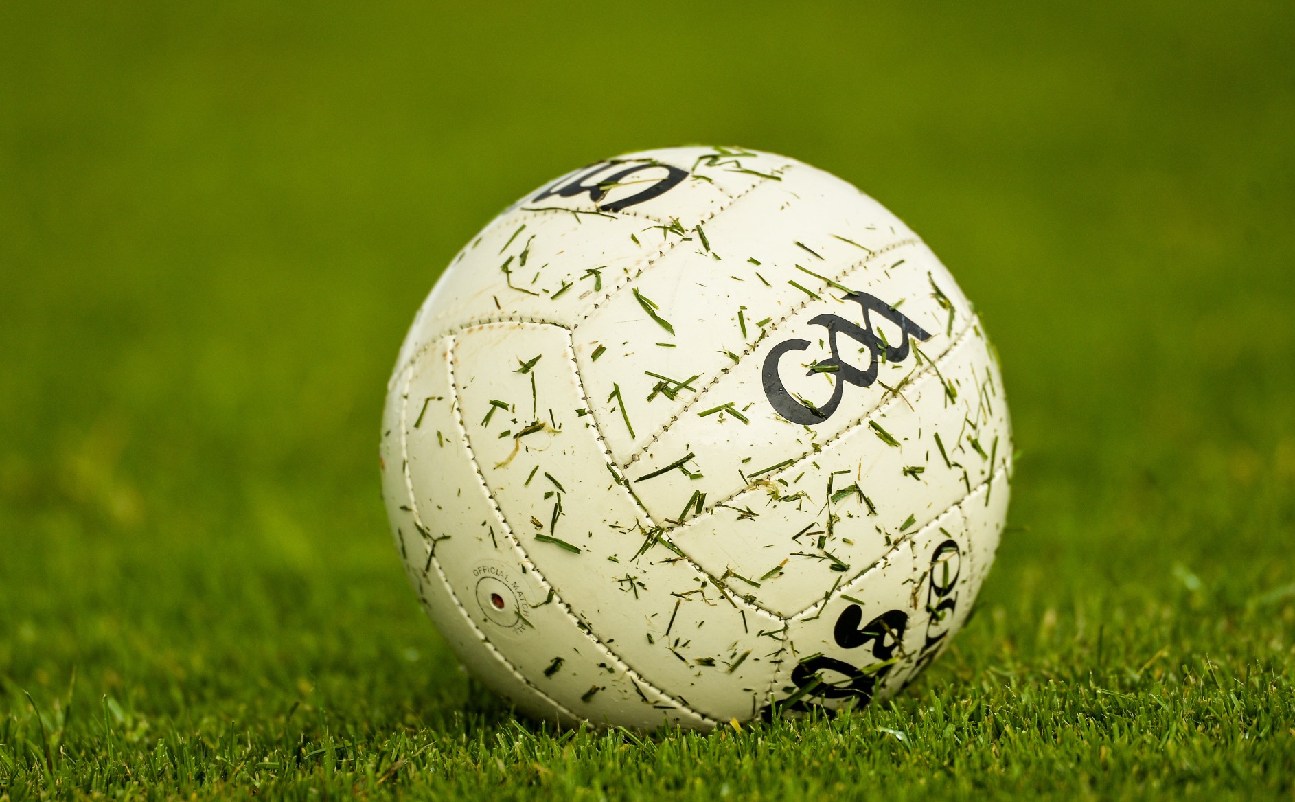 Those involved in brawl at under-15s GAA match 'should be banned for ...