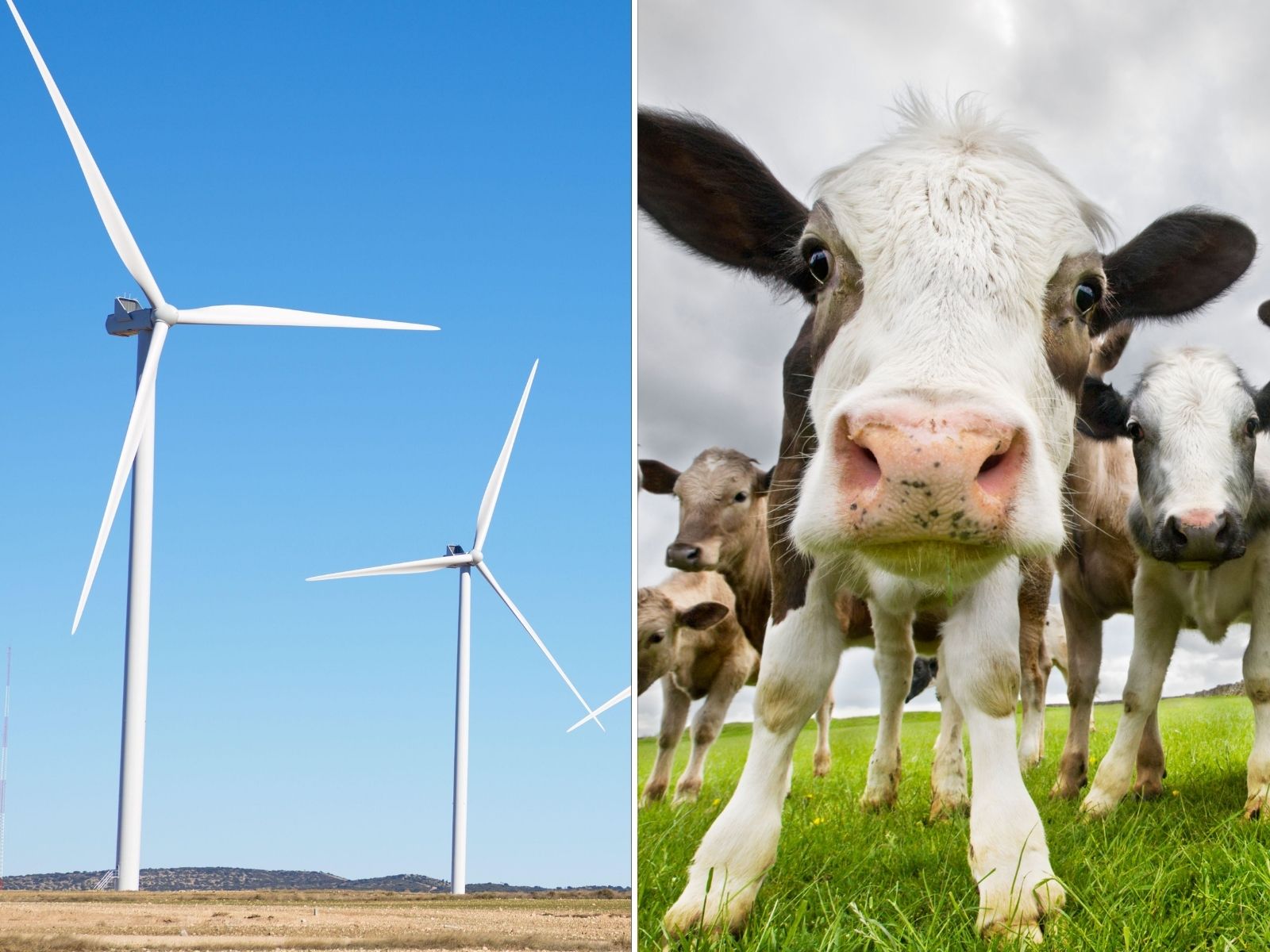 Community climate action: What the €27 million in funding means | Newstalk