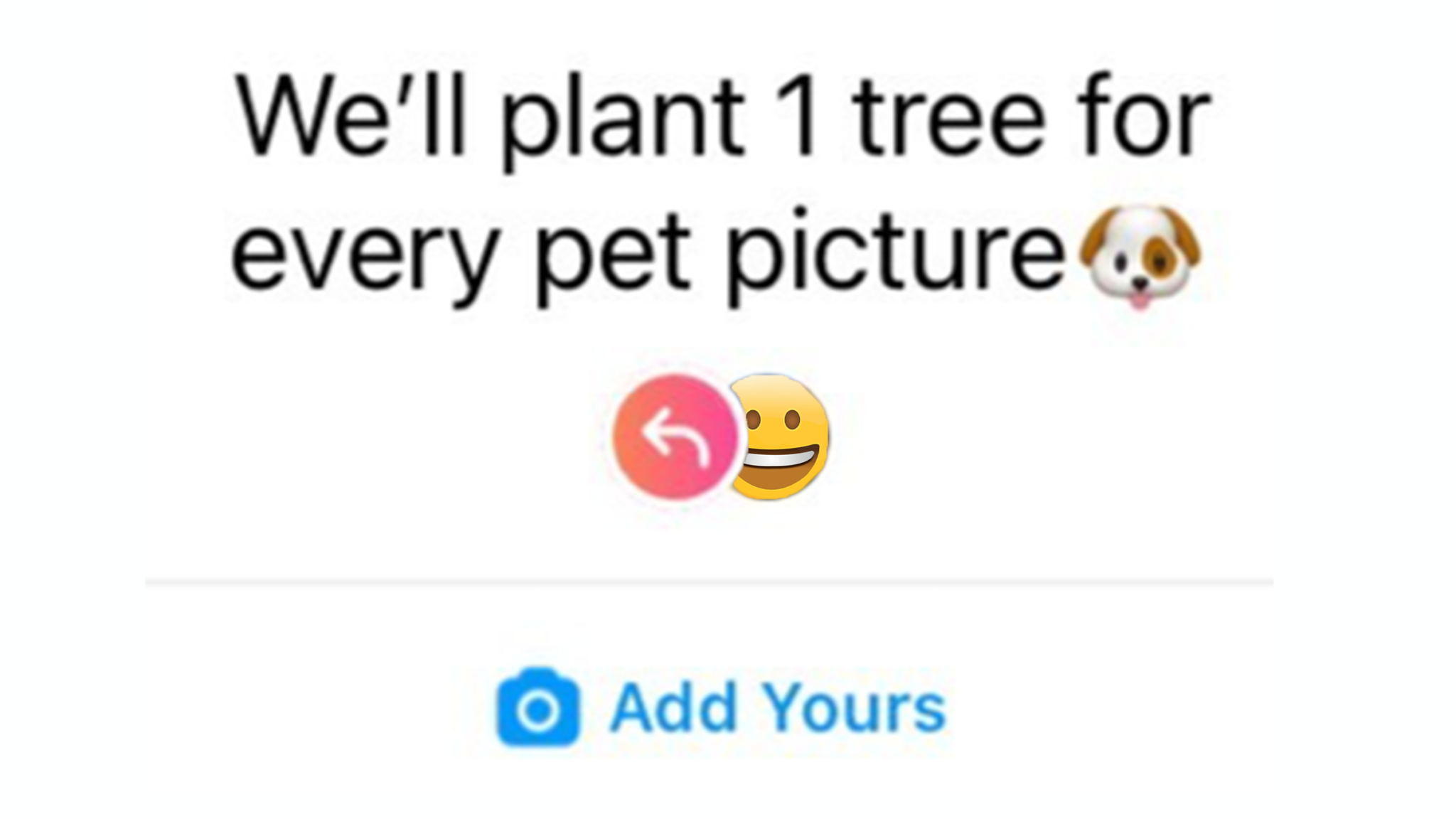 Plant A Tree Instagram Trend Looks Incredibly Unlikely | SPINSouthWest