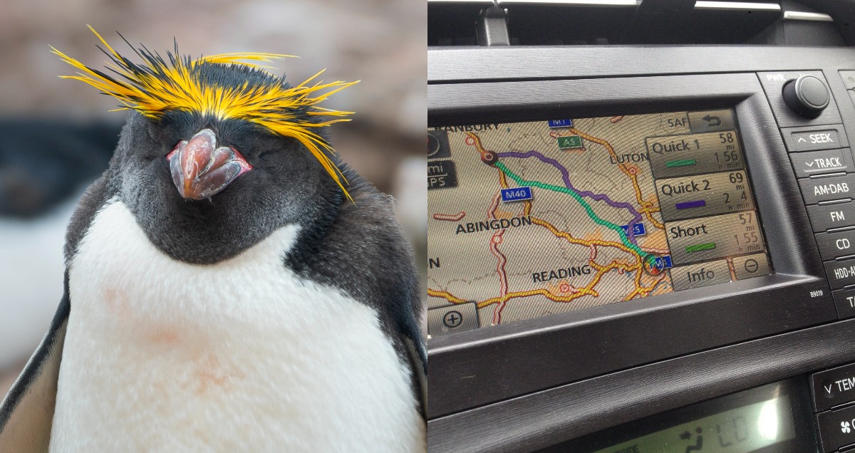 Peng Wings And Sat Naps: We Love These Mispronunciations