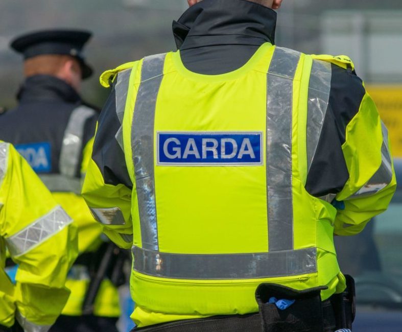 Gardaí need better self-defence training to face violent attacks - GRA ...