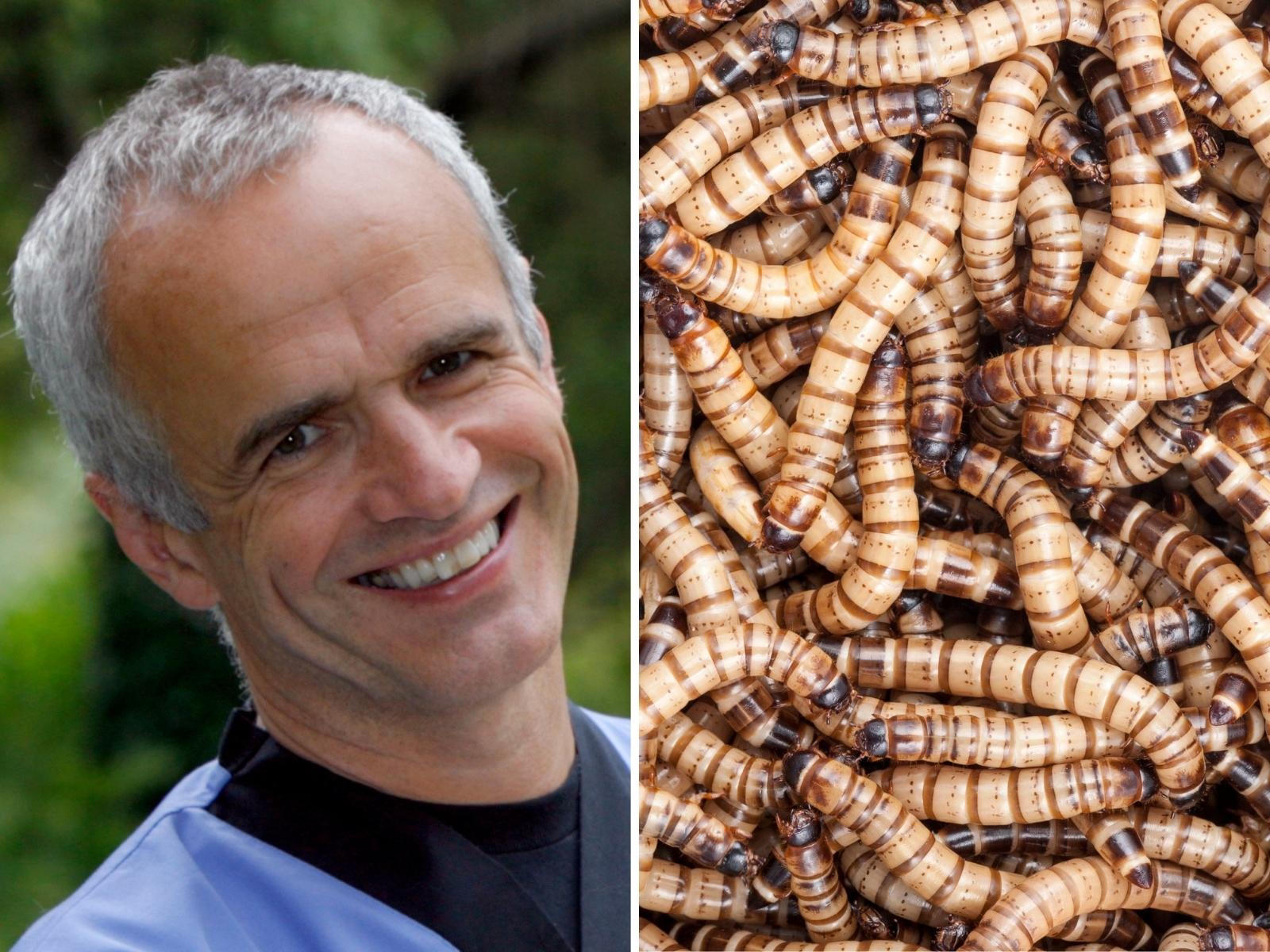 Pete the Vet: Insect-based pet foods a 'great idea' for your furry ...