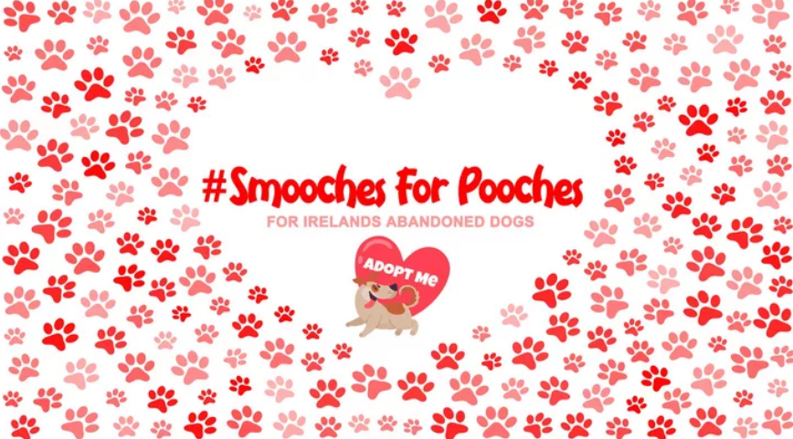 Smooches for Pooches