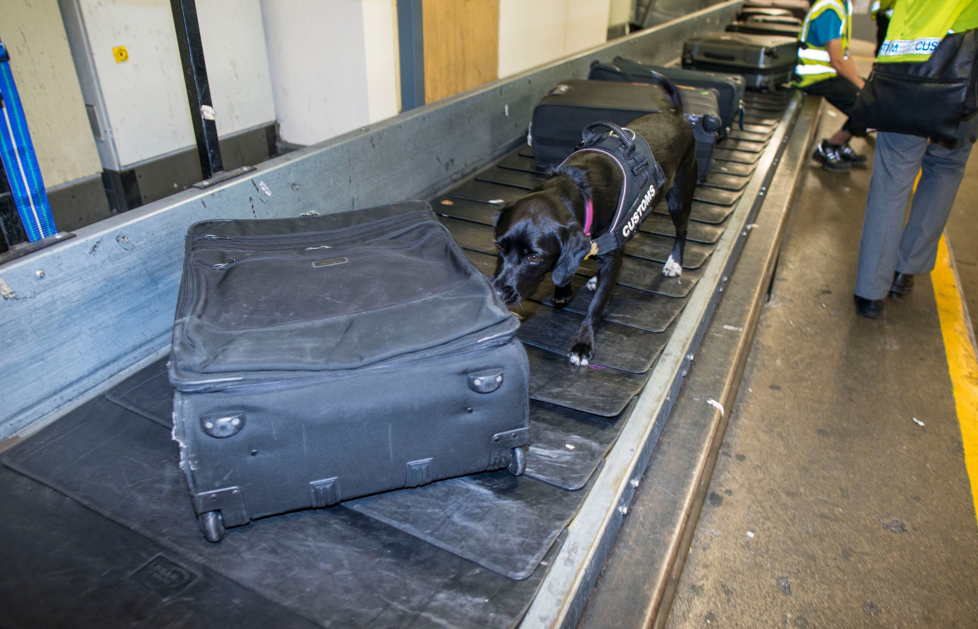 'We had one last Friday...' - Dublin Airport Customs officers on how ...
