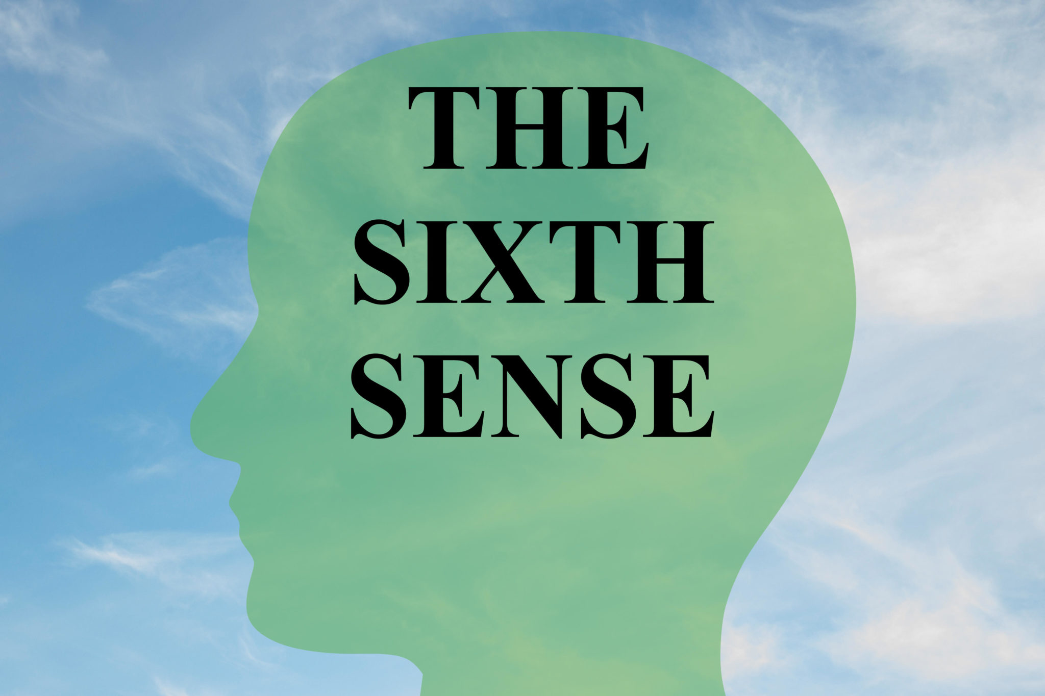 Green Scene: Discovering our sixth sense | Newstalk