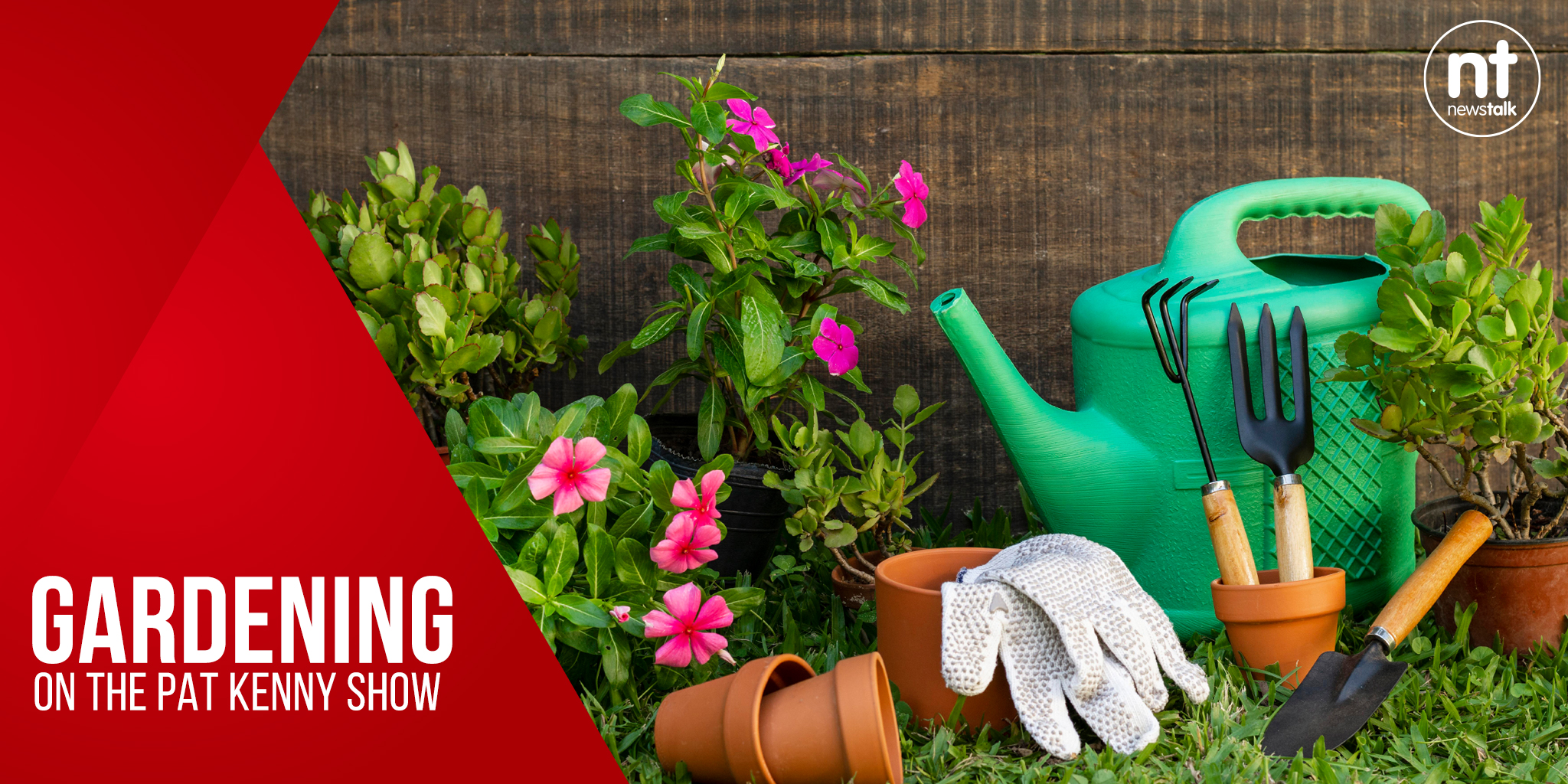 Gardening advice with Paraic Horkan | Newstalk