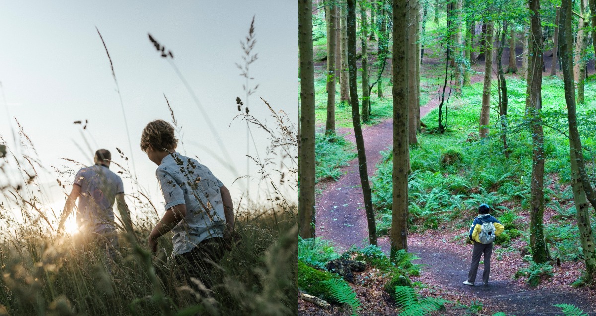 How A Prescription For Nature Could Help Our Health