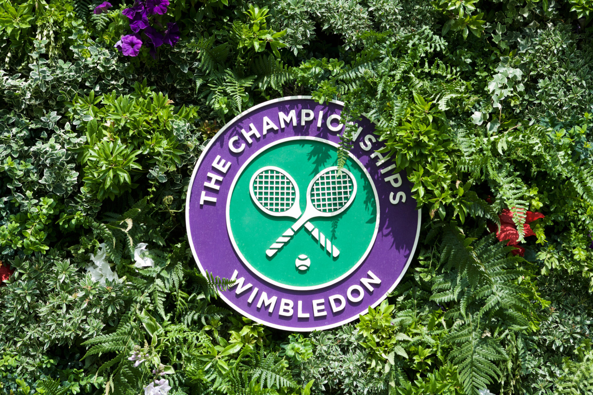Wimbledon confirms ban on Russian and Belarussian players