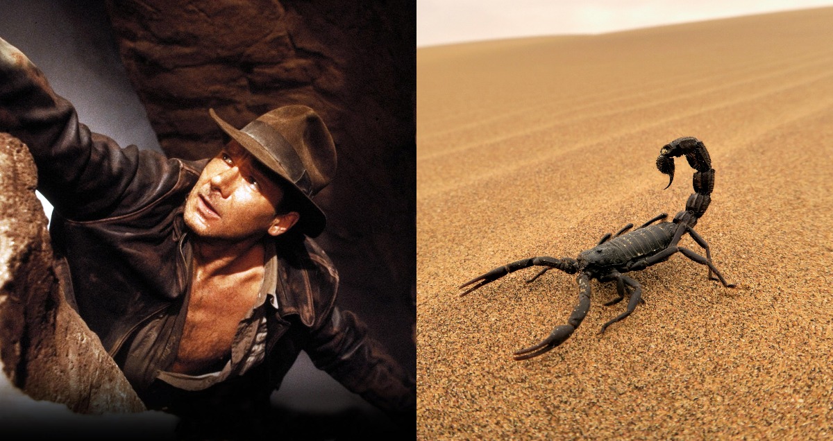 Irish Research Proves That Indiana Jones Was Right