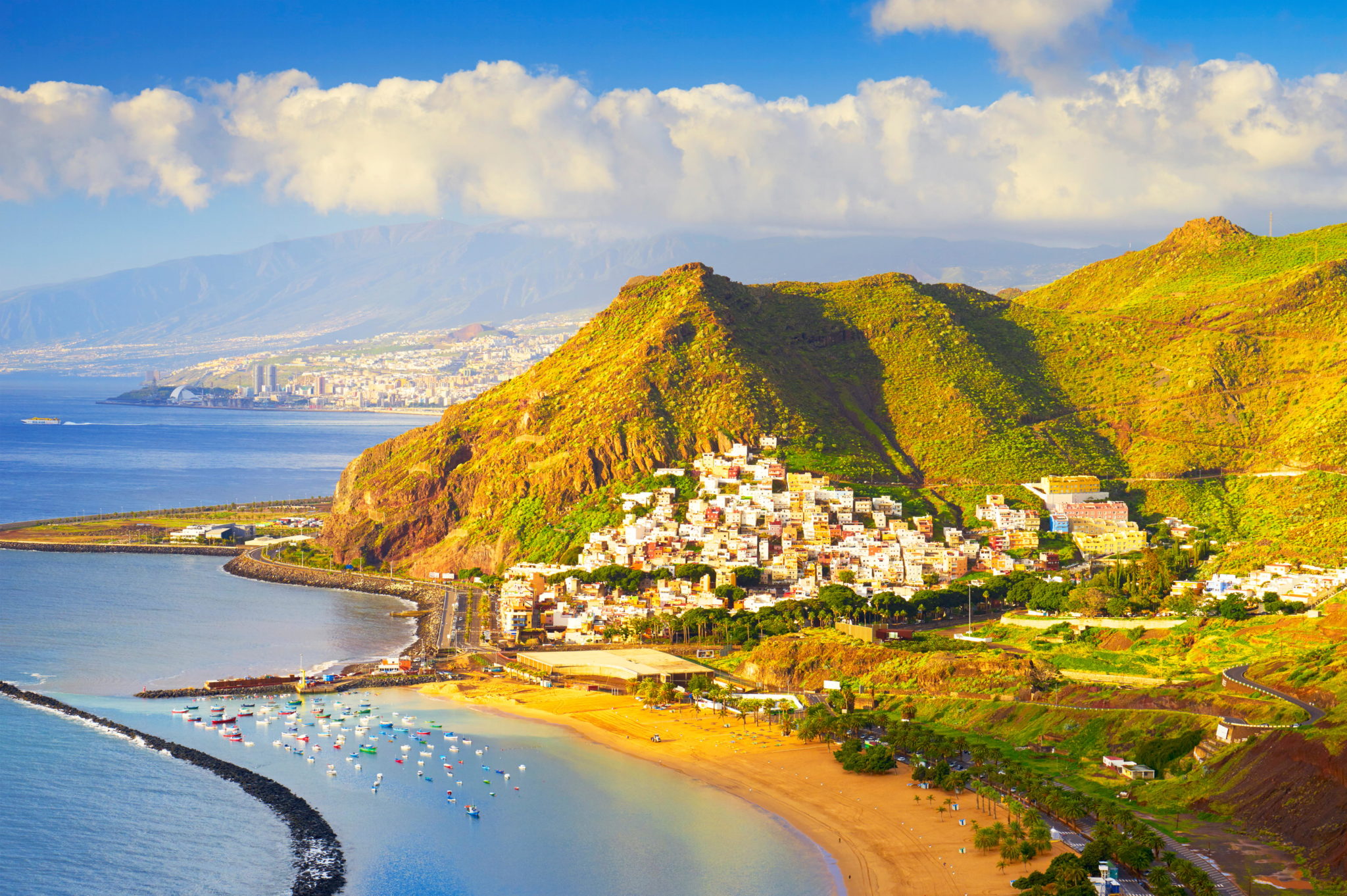 What Animal Are The Canary Islands Named After?