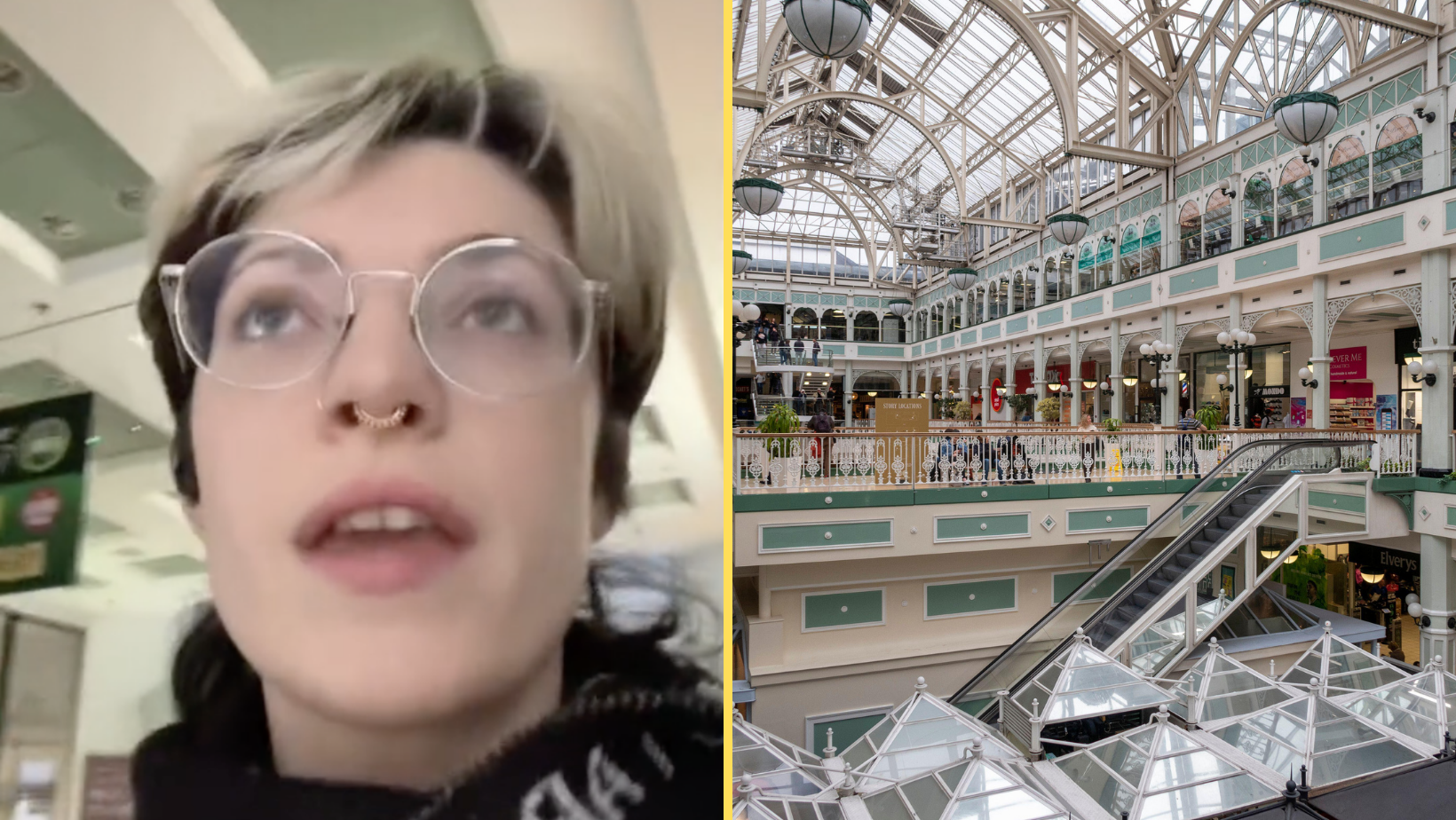 Tik Tok User Goes Viral After Getting Trapped In St Stephen's Green ...