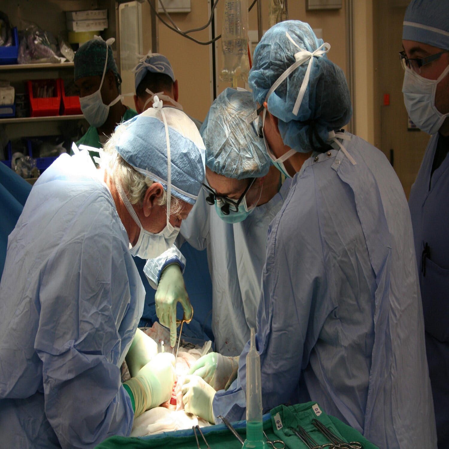The Cutting-Edge Science of Transplants | Newstalk