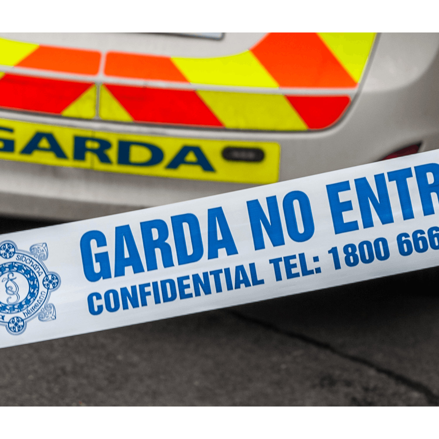 A garda investigation has been launched after the bodies were found at ...